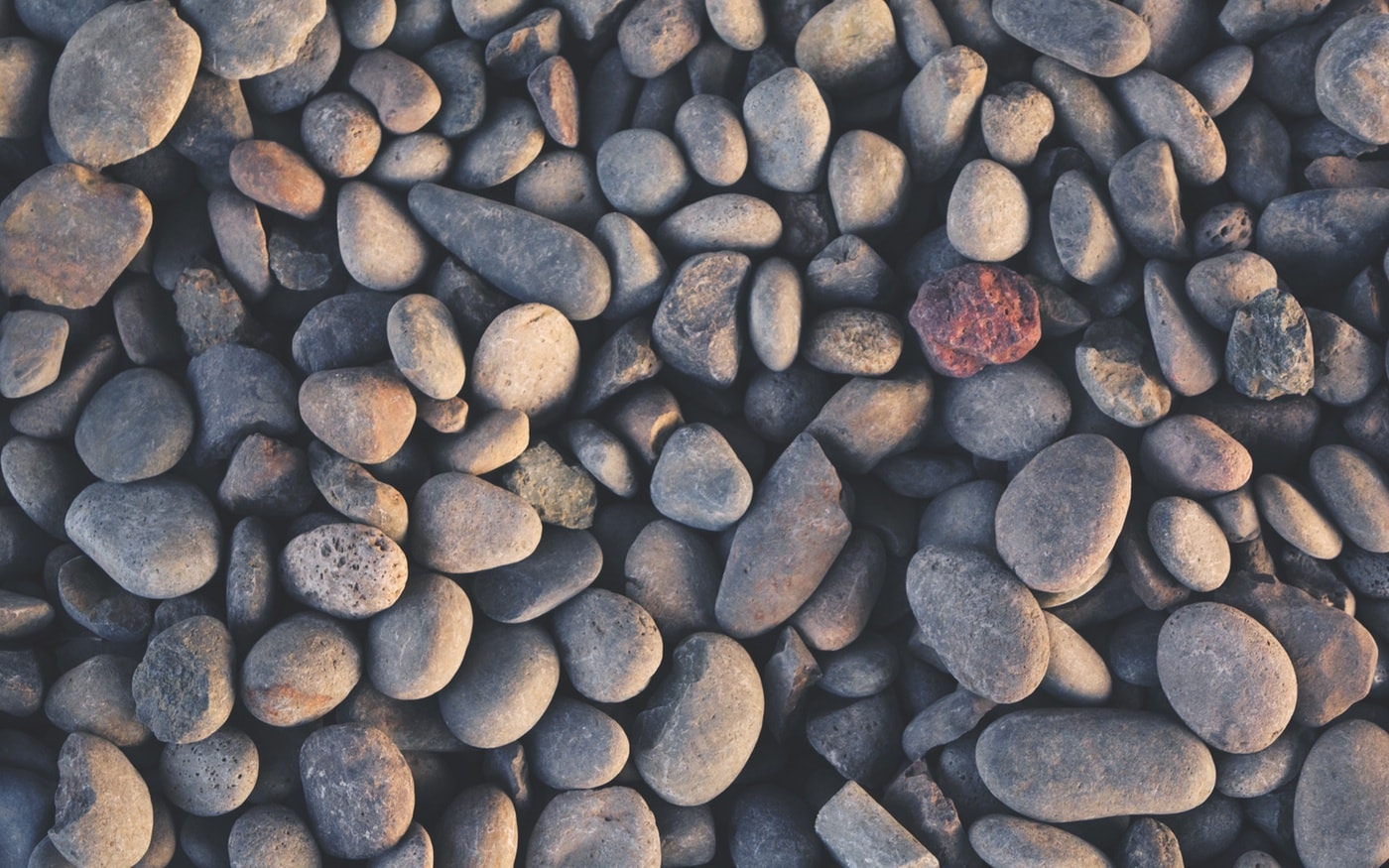 Why change is actually your biggest ally - Caron Khan